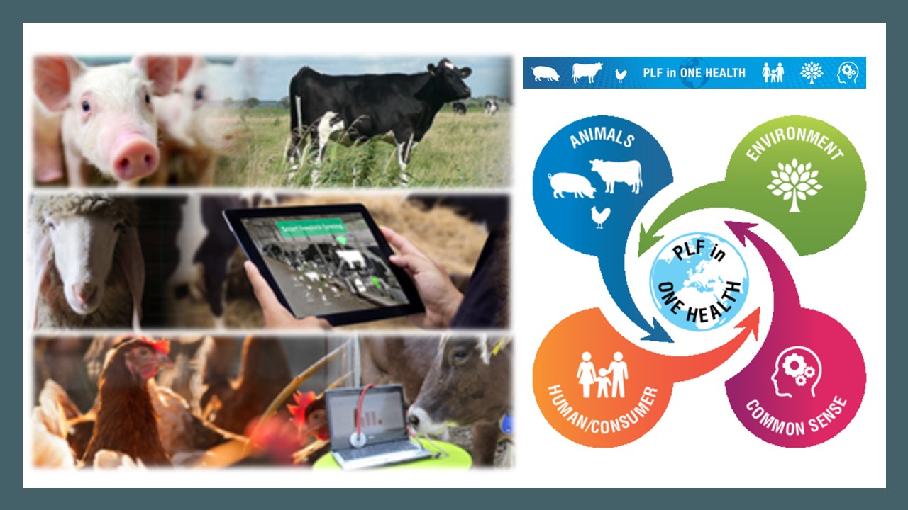 What Is Precision Livestock Farming, 42% OFF What Is Precision Livestock Farming, 42% OFF
